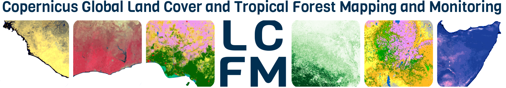 Copernicus Global Land Cover and Tropical Forest Mapping and Monitoring ...